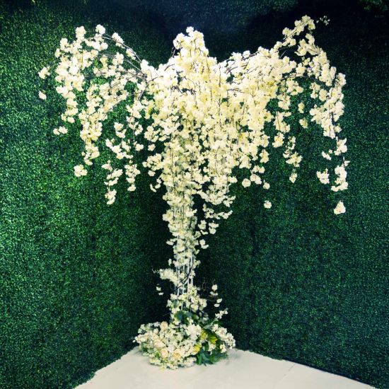Cherry Blossom Tree (White-White) - tree
